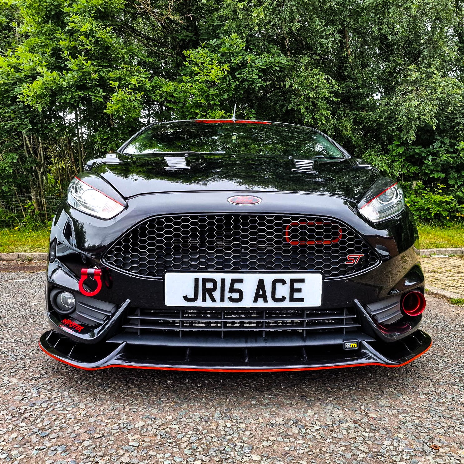 2014-2019+ Ford Fiesta ST (2018-2019 MK7 and MK7.5 only) BIG MOUTH Ram ...